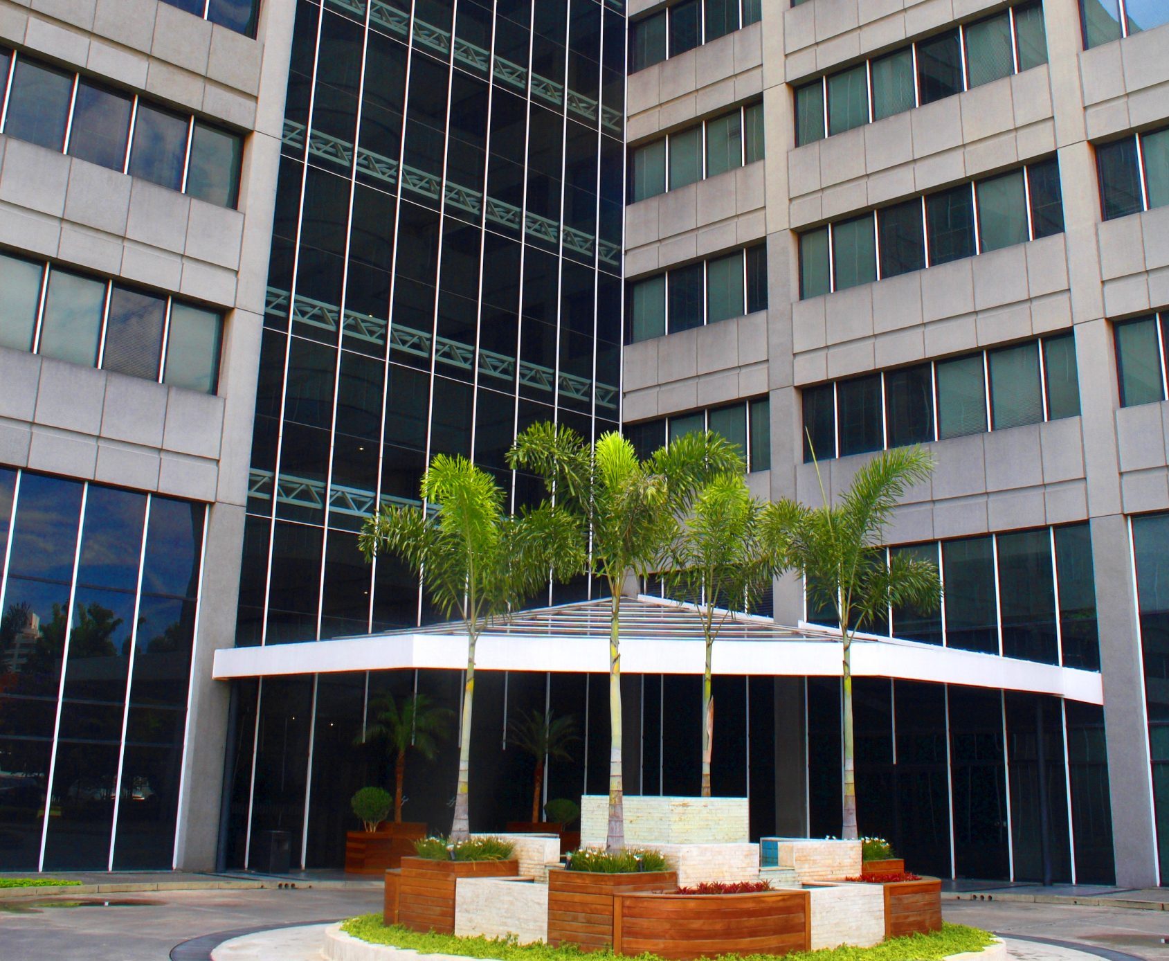 Câmara Brasil-Alemanha de São Paulo anuncia nova Vice-Presidente Executiva - BrasilAlemanha News